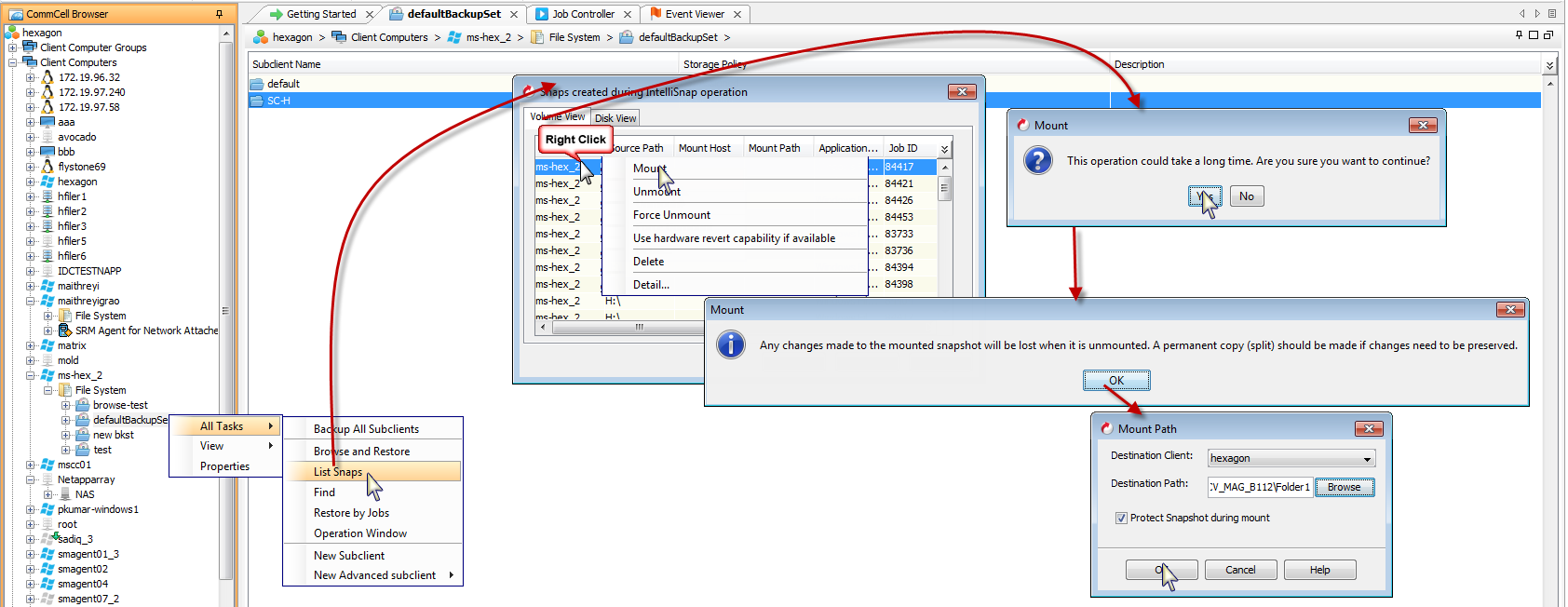 IntelliSnap - Advanced Snapshots - Windows File System iDataAgent