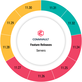 Update Statuses in the Software Version Report